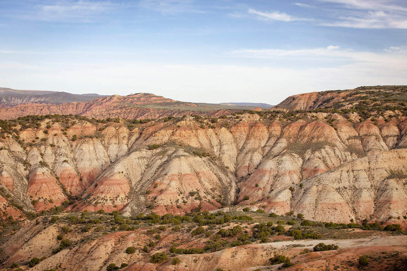 Red Basin Landscape